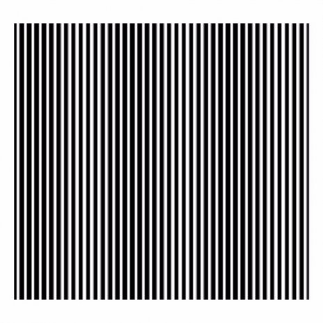 Products: Optical Resolution Charts