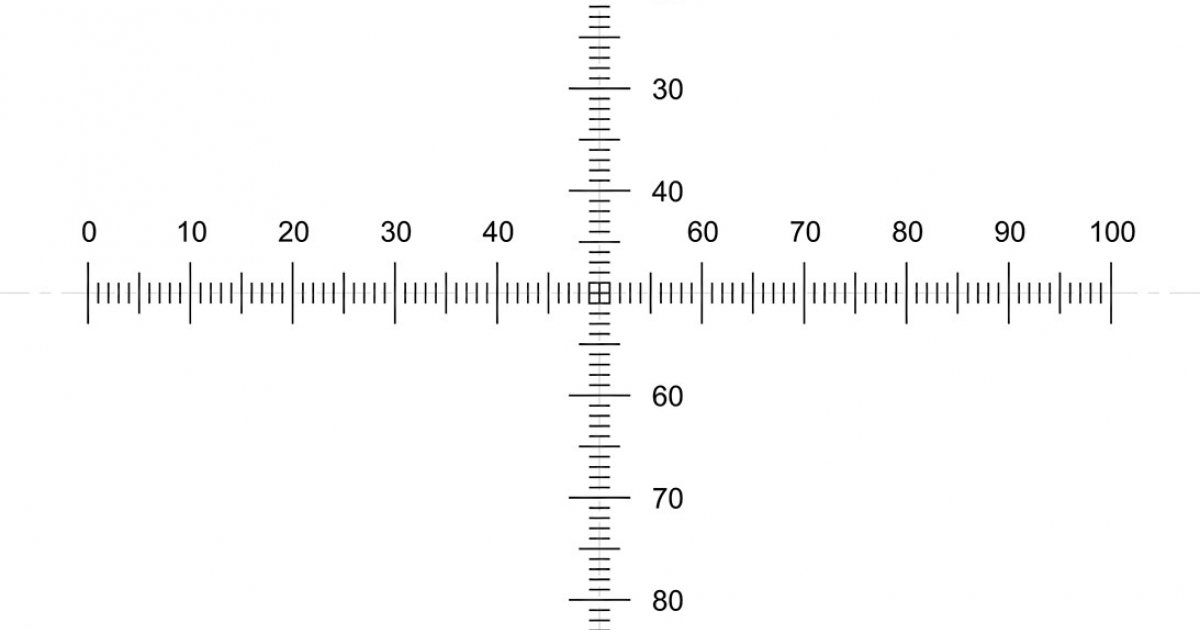 NE17 Crossed Scales 10mm/0.1mm