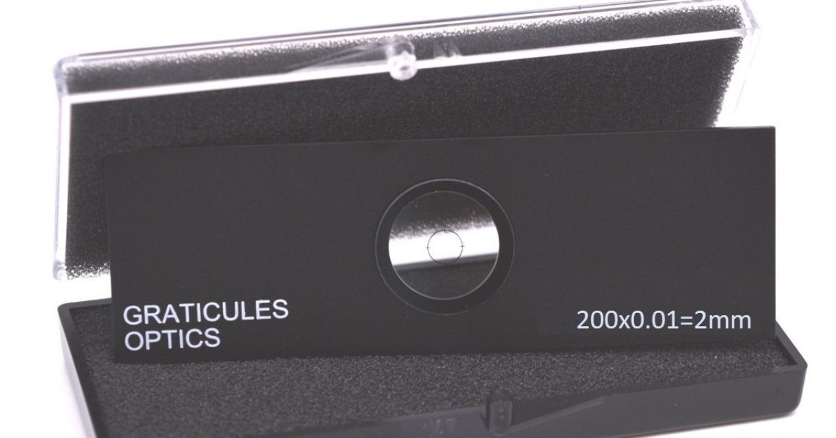 S22 Stage Micrometer Vertical 2mm/0.01mm